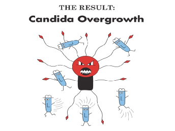 90 Day Candida Control Program